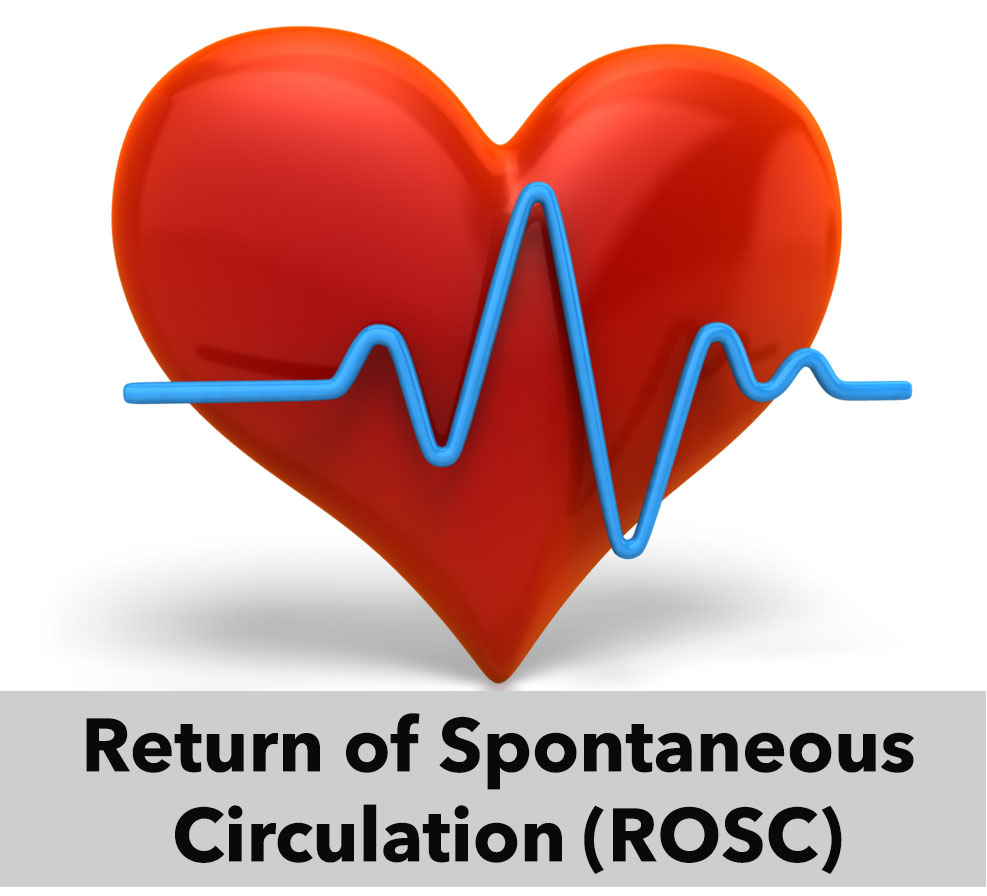 Post-Resuscitation Care in First Aid - First Aid for Free