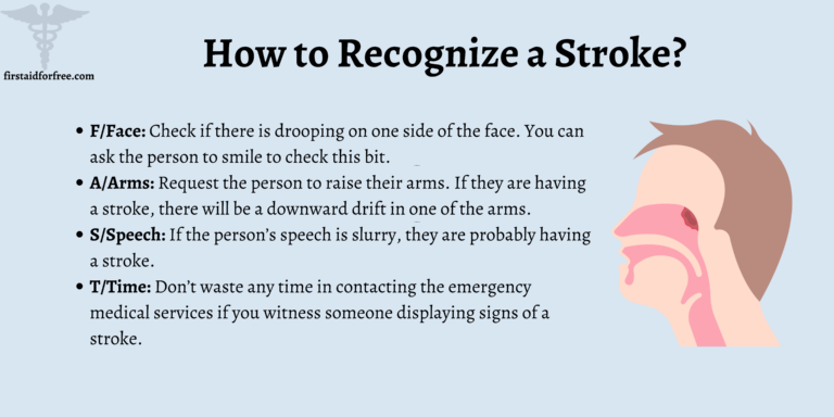 Burnt Toast Stroke Connection: Here's What You Should Know