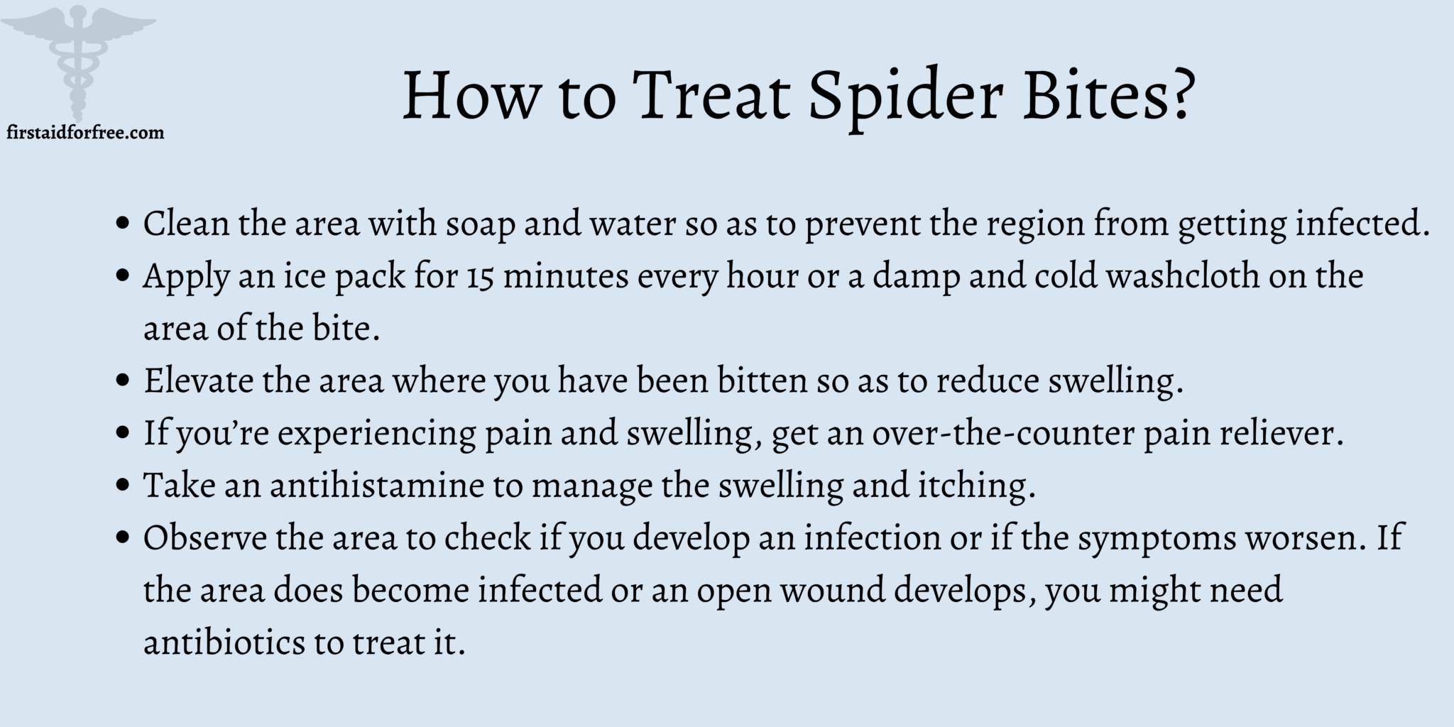 First Aid for Spider Bites: 6 Quick and Effective Steps