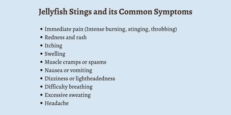 First Aid for Jellyfish Stings: 4 Expert Tips - First Aid for Free