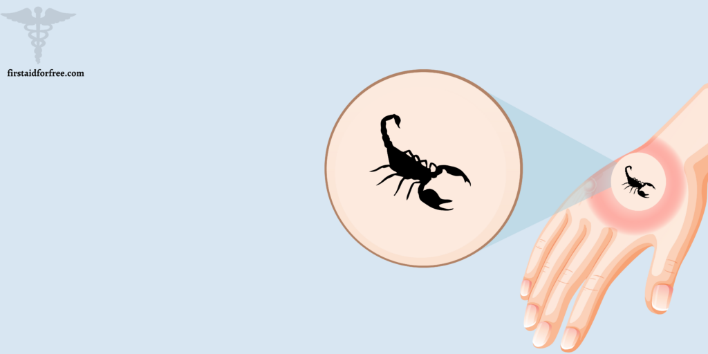 First Aid for Scorpion Stings: 6 Effective Relief Tips - First Aid for Free