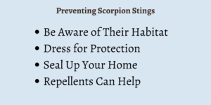 First Aid for Scorpion Stings: 6 Effective Relief Tips - First Aid for Free